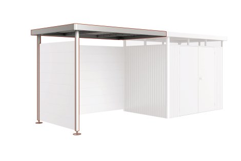 BIOHORT Seitendach für Gerätehaus HighLine® H3, 282x235x222 cm, Silber ...