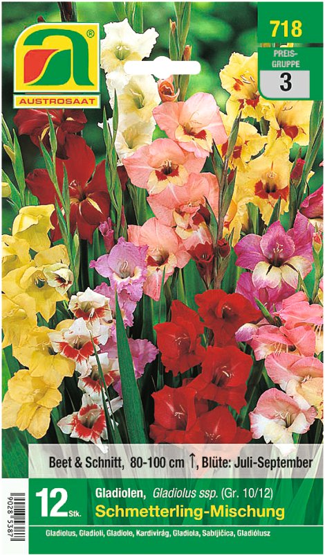 Gladiolen Schmetterlings-Mischung kaufen