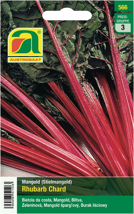 Stielmangold Rhubarb Chard kaufen